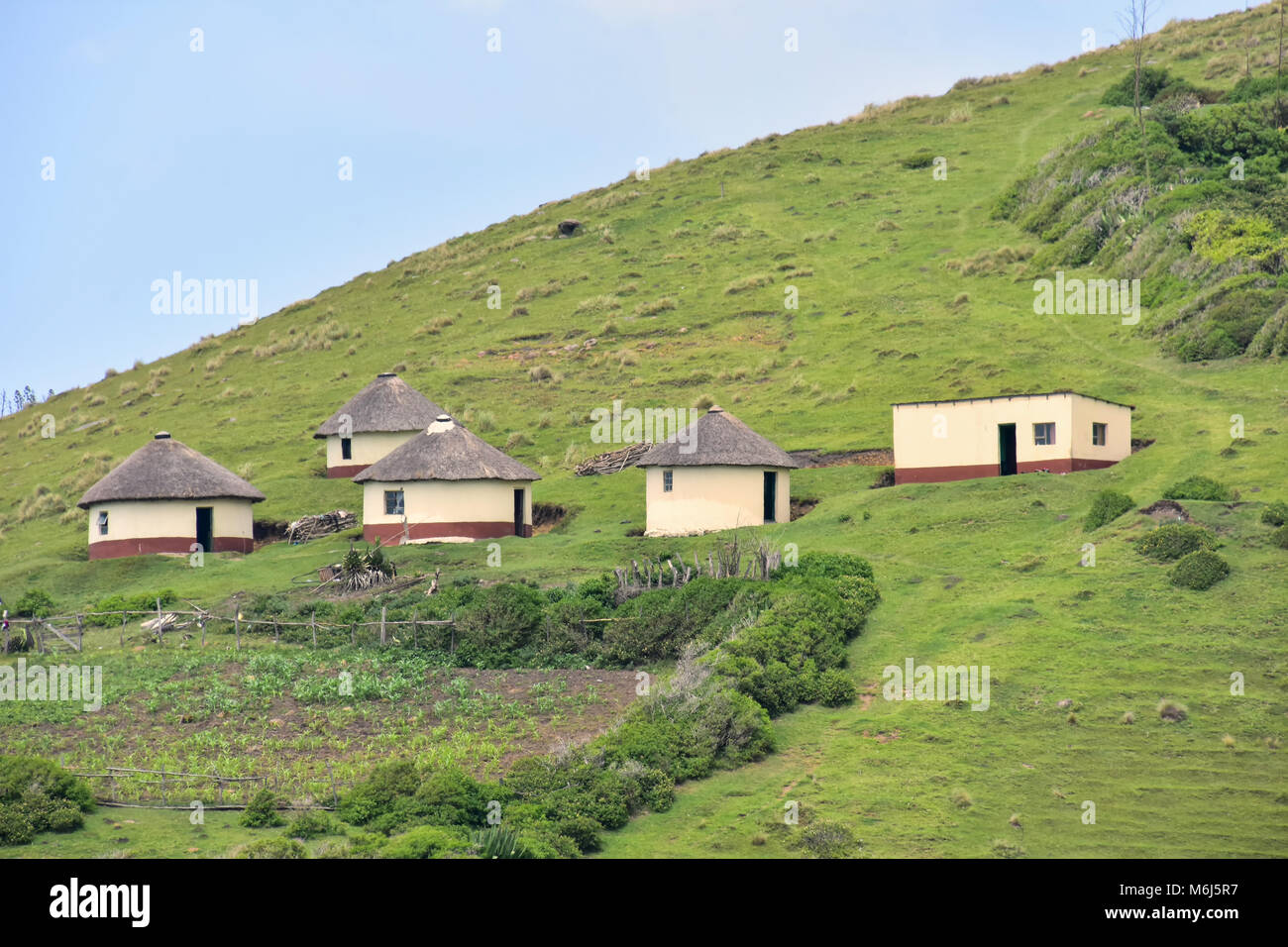 Colorful Xhosa round huts or houses or rondavels with thatched roofs ...