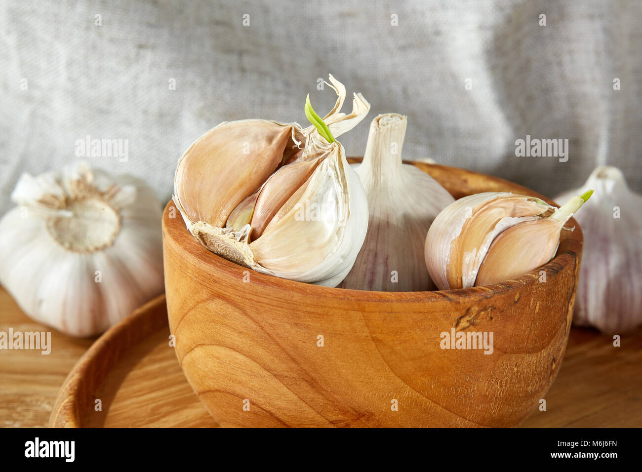 Garlic on flat wooden plate put on rustic rough wooden table with light ...