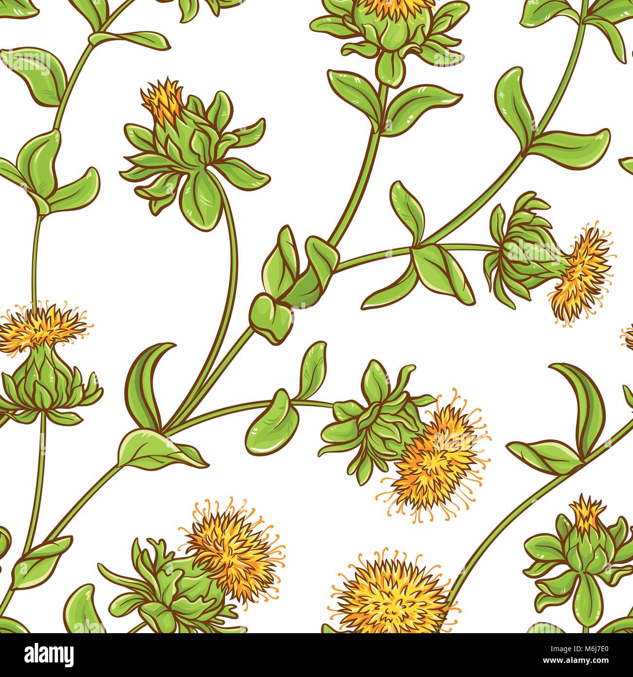 safflower plant vector pattern on white background Stock Vector Image ...