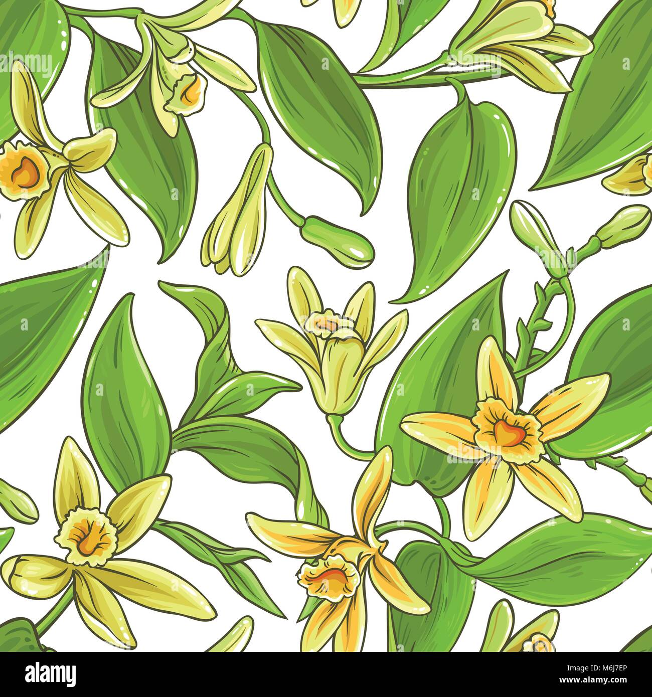 vanilla branches vector pattern on white background Stock Vector Image ...