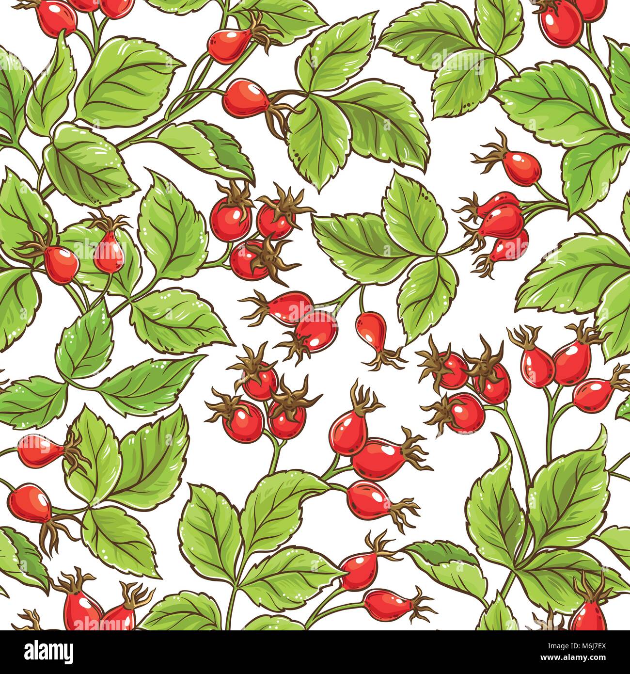 wild rose vector pattern on white background Stock Vector Image & Art ...