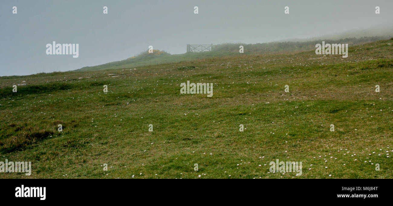 Cliff top views in fog near Anvil Point Lighthouse and Durlston Castle ...