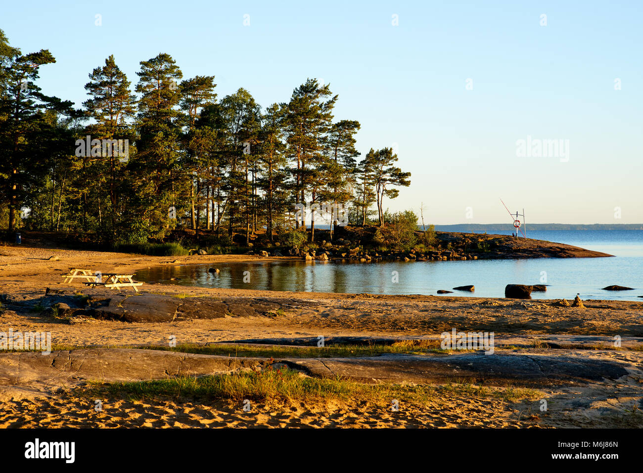 Beautiful beach scenery with trees at the coast of lake Vänern in ...