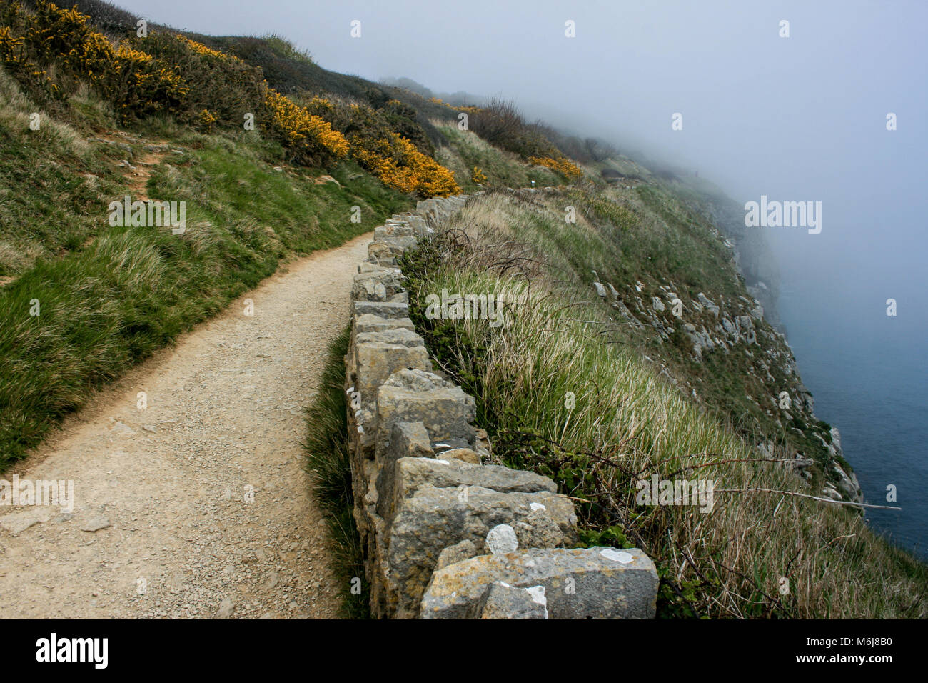 Cliff top views in fog near Anvil Point Lighthouse and Durlston Castle ...