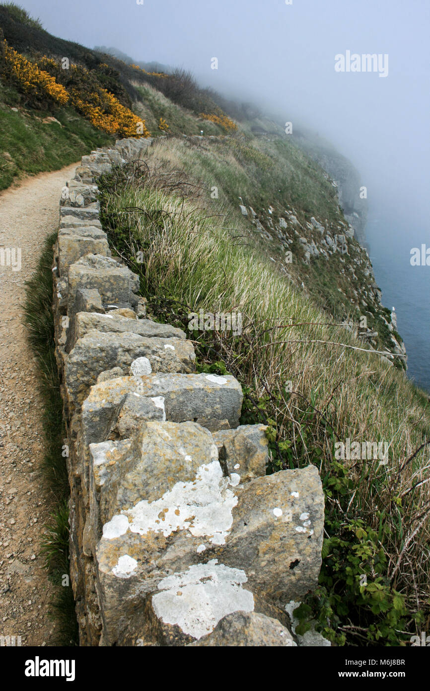 Cliff top views in fog near Anvil Point Lighthouse and Durlston Castle ...