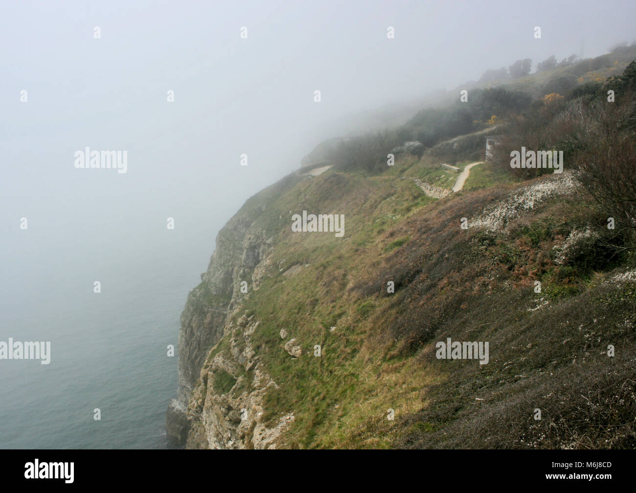 Anvil point lighthouse in durlston hi-res stock photography and images ...