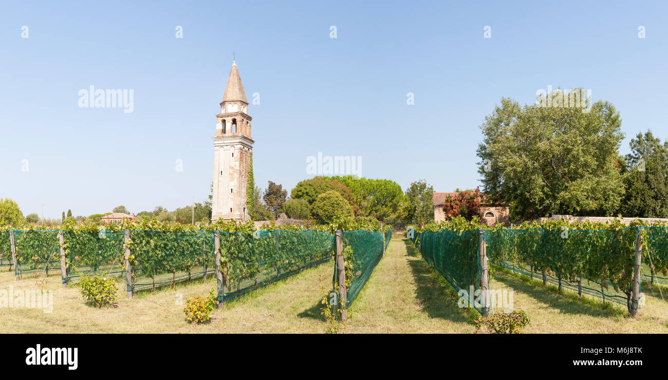 Dorona grapes hi-res stock photography and images - Alamy