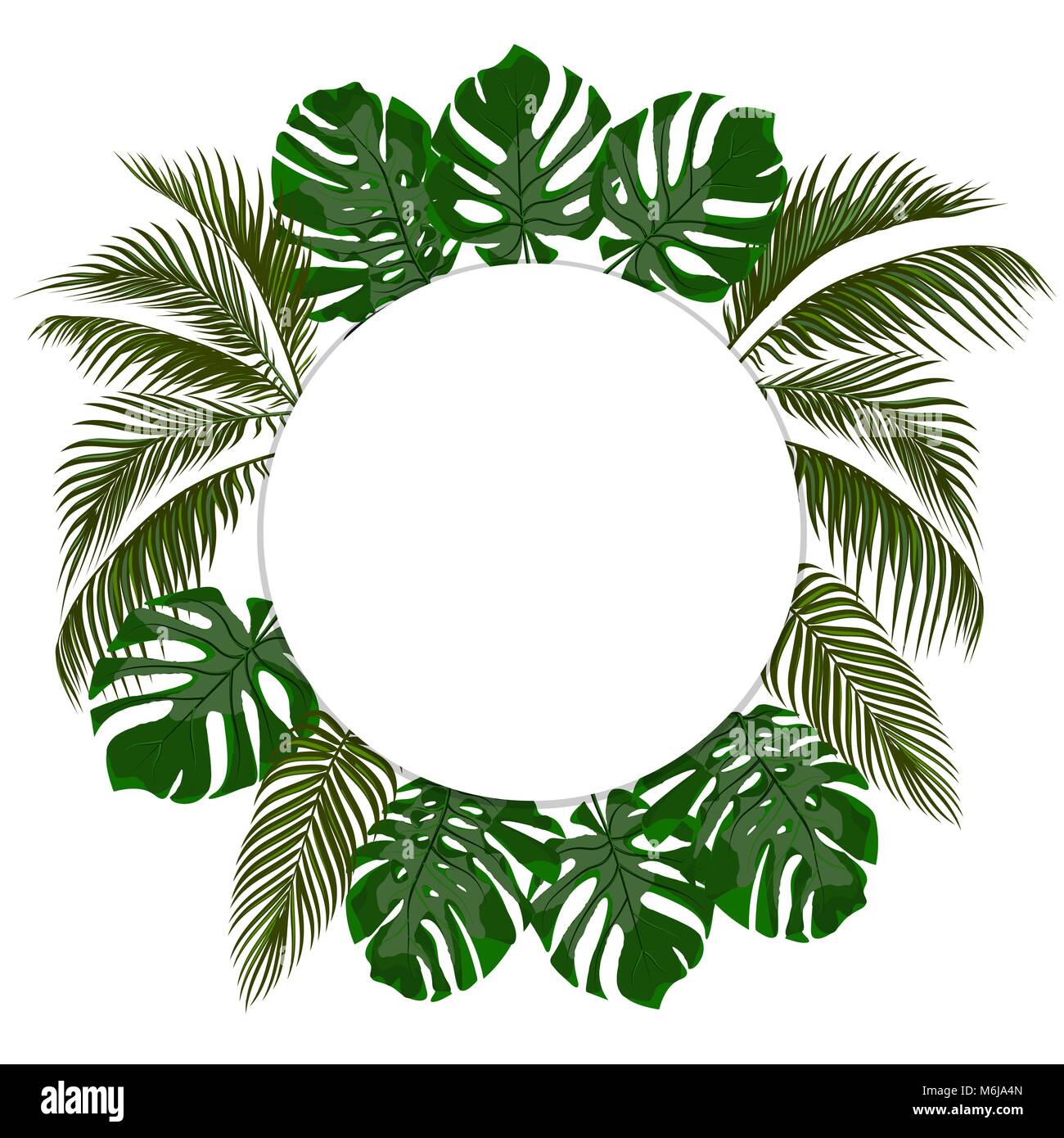 Green leaves of tropical palms in a circle. Monster, agave. Place for ...