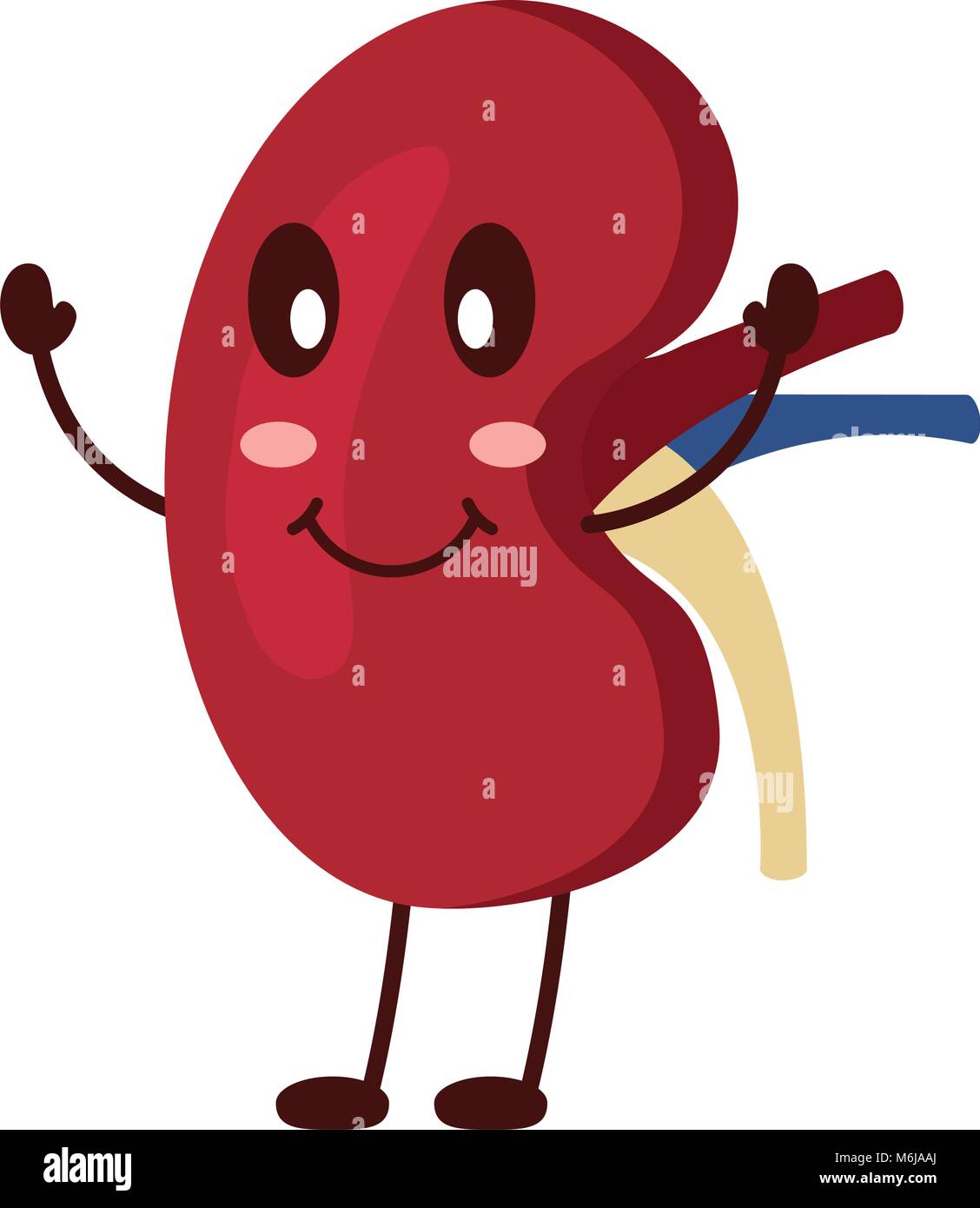 cartoon happy human kidney smiling character Stock Vector Image & Art ...