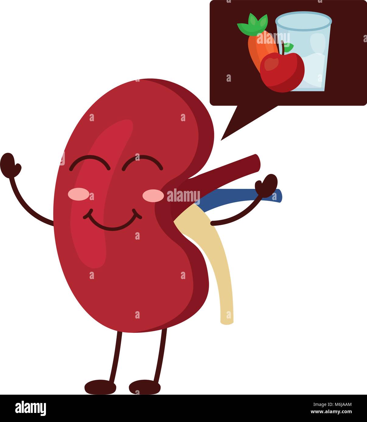 cartoon happy human kidney with speech bubble healthy food Stock Vector ...