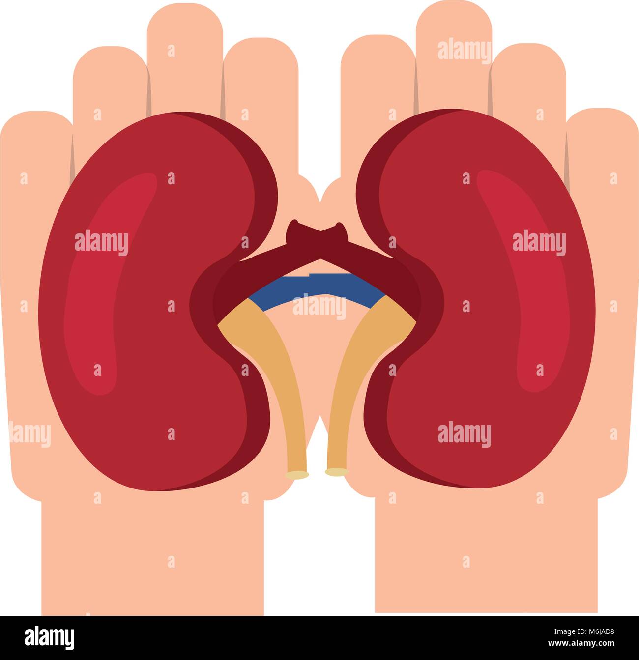 hands holding kidneys health support campaign Stock Vector Image & Art ...