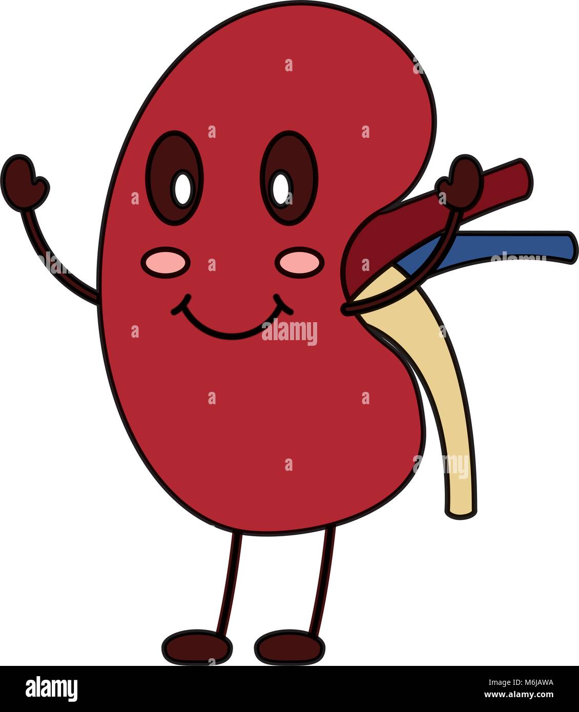 cartoon happy human kidney smiling character Stock Vector Image & Art ...