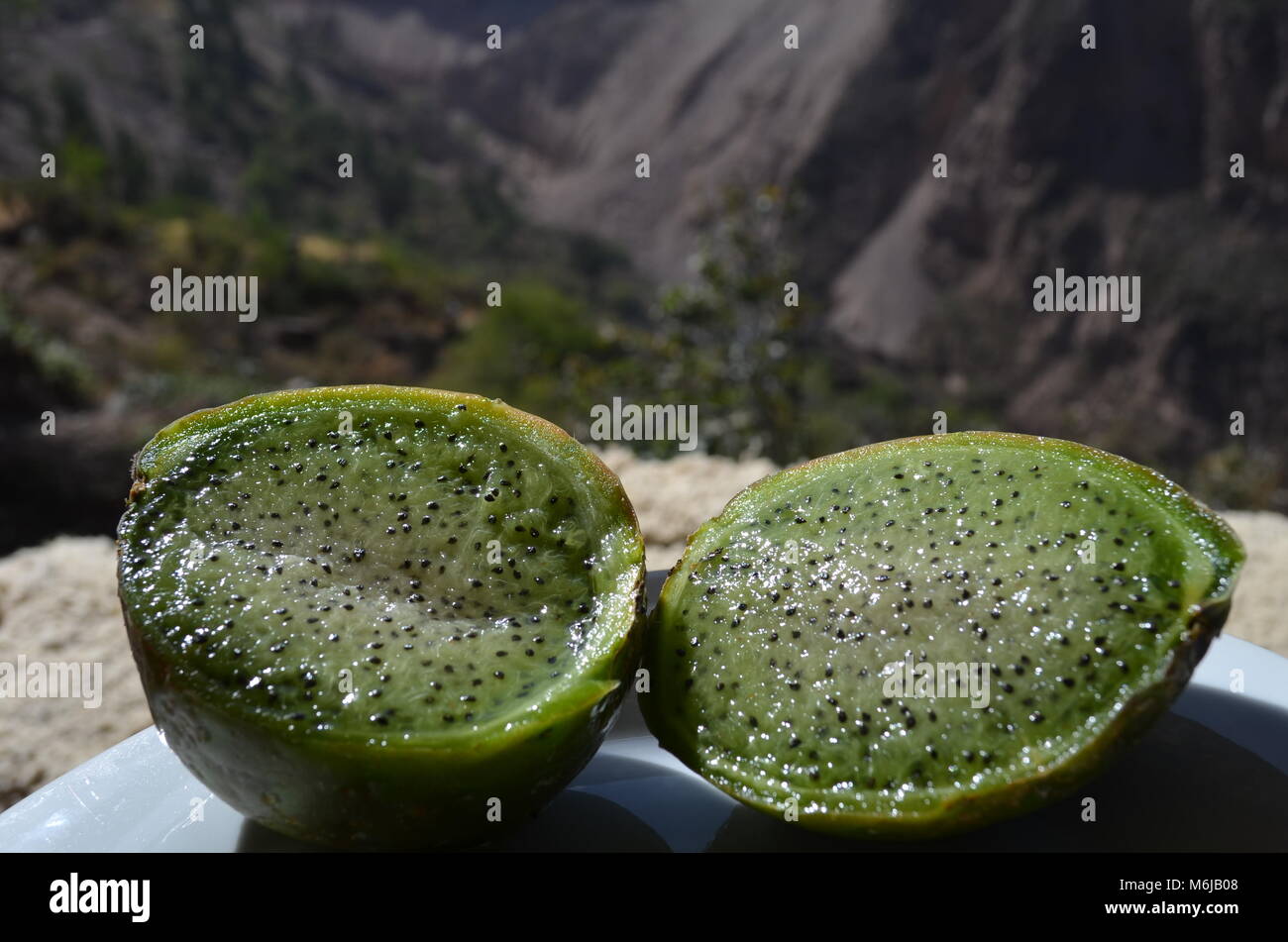 Peruvian Green Cactus Pear, Colca Canyon, Peru Stock Photo - Alamy