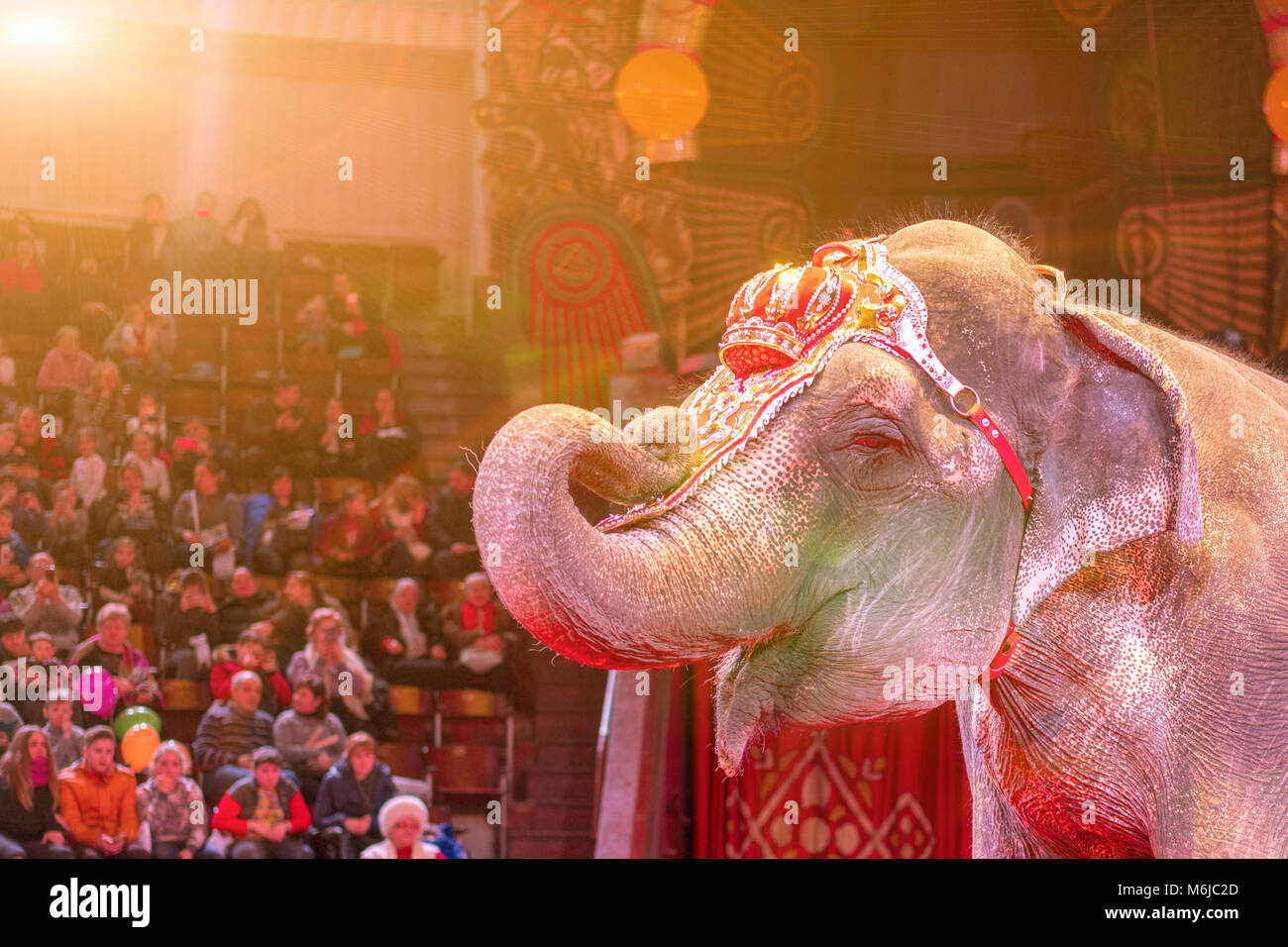 Circus Elephant Ball High Resolution Stock Photography and Images - Alamy