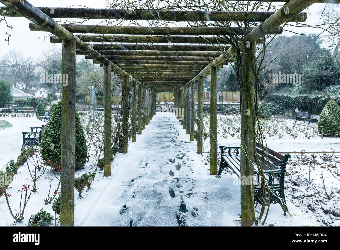 A winter snow scene in Trenance Gardens in Newquay Cornwall Stock Photo ...
