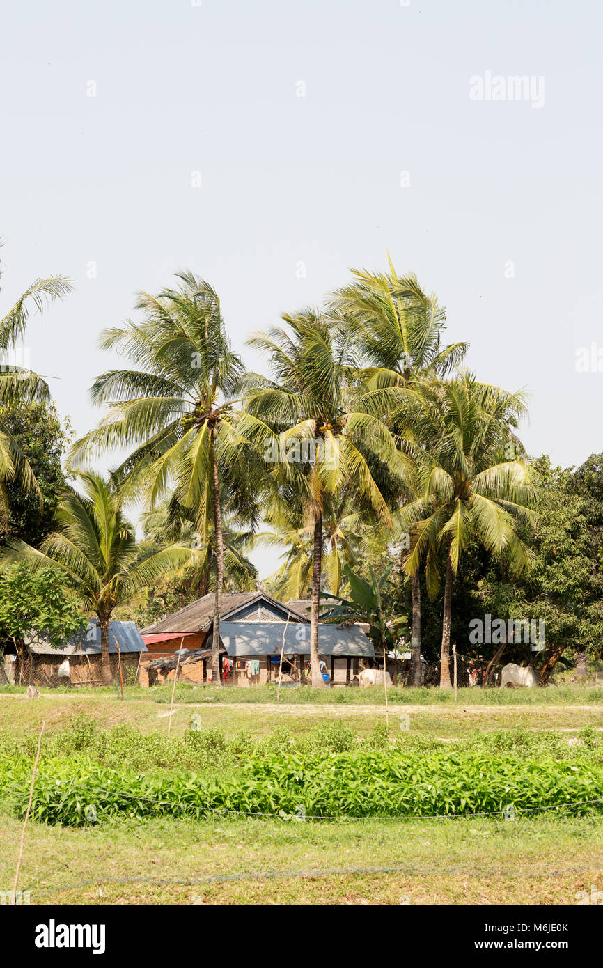 Rural Cambodia countryside, Kampot province, Cambodia Asia Stock Photo ...