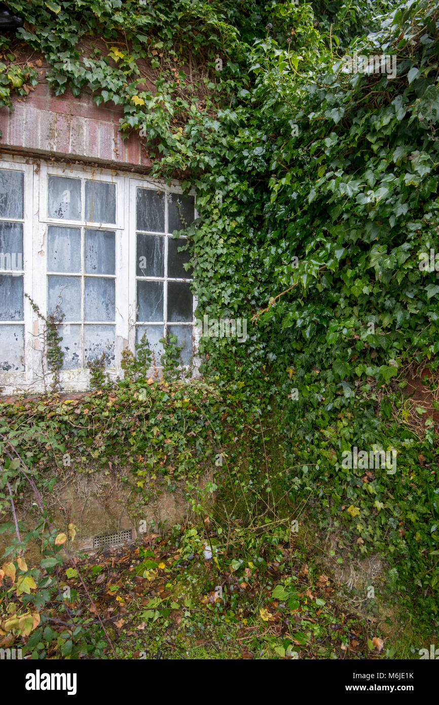 Nature taking back Stock Photo - Alamy