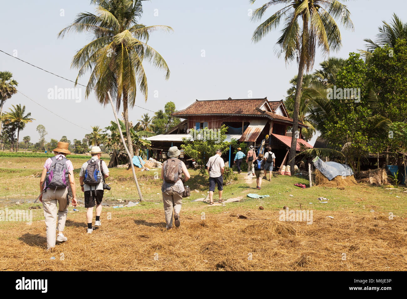 Cambodia Asia - tourists visiting a rice farm in rural Cambodia on a ...