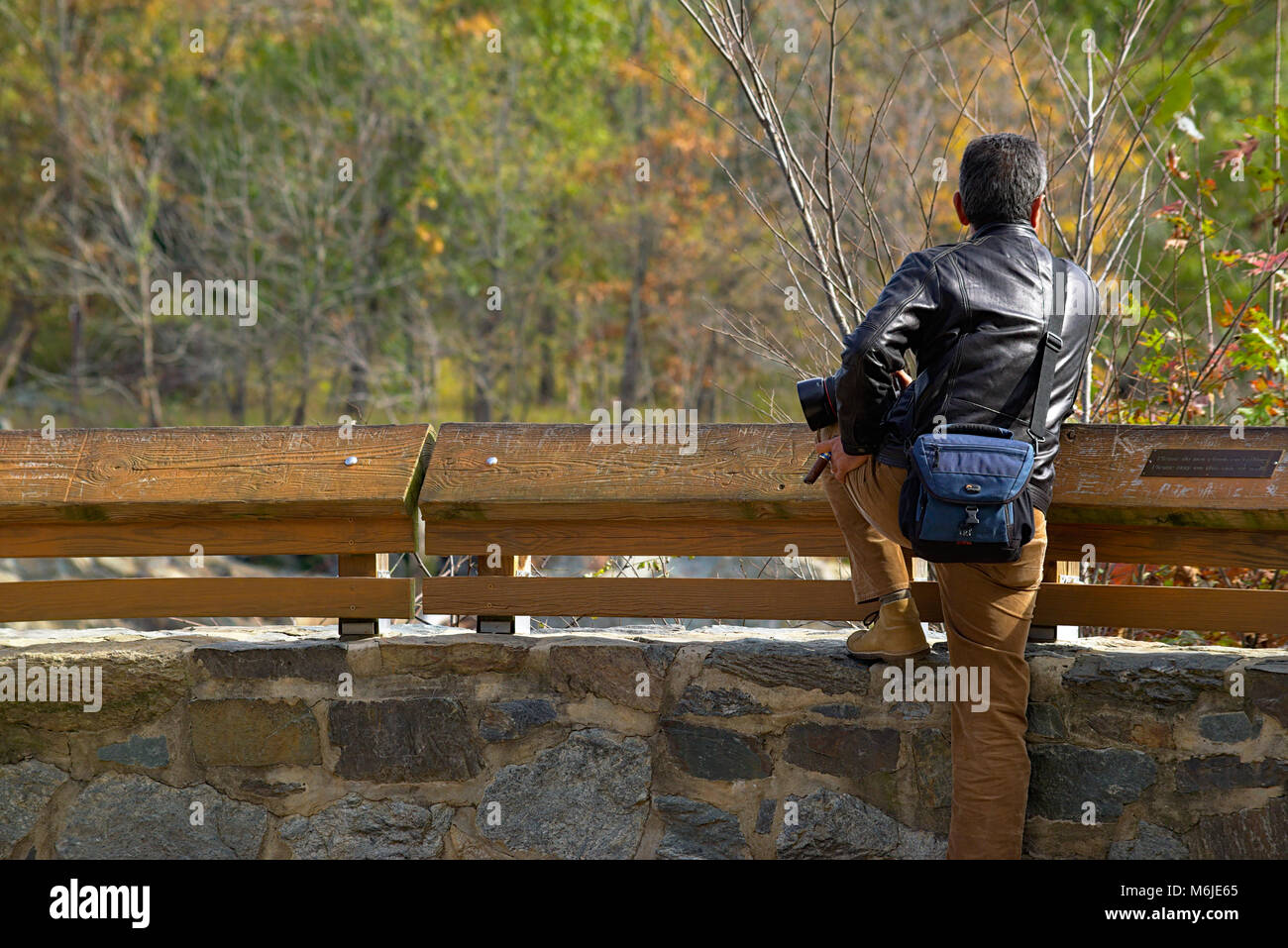 Observing surroundings hi-res stock photography and images - Alamy