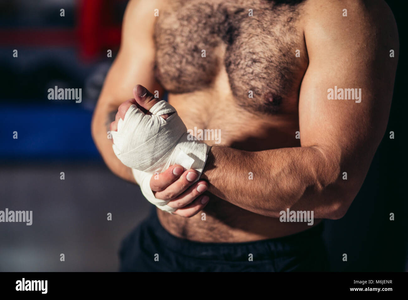 hand of boxer ready for fight. Concept. Strong arms and clenched fists ...
