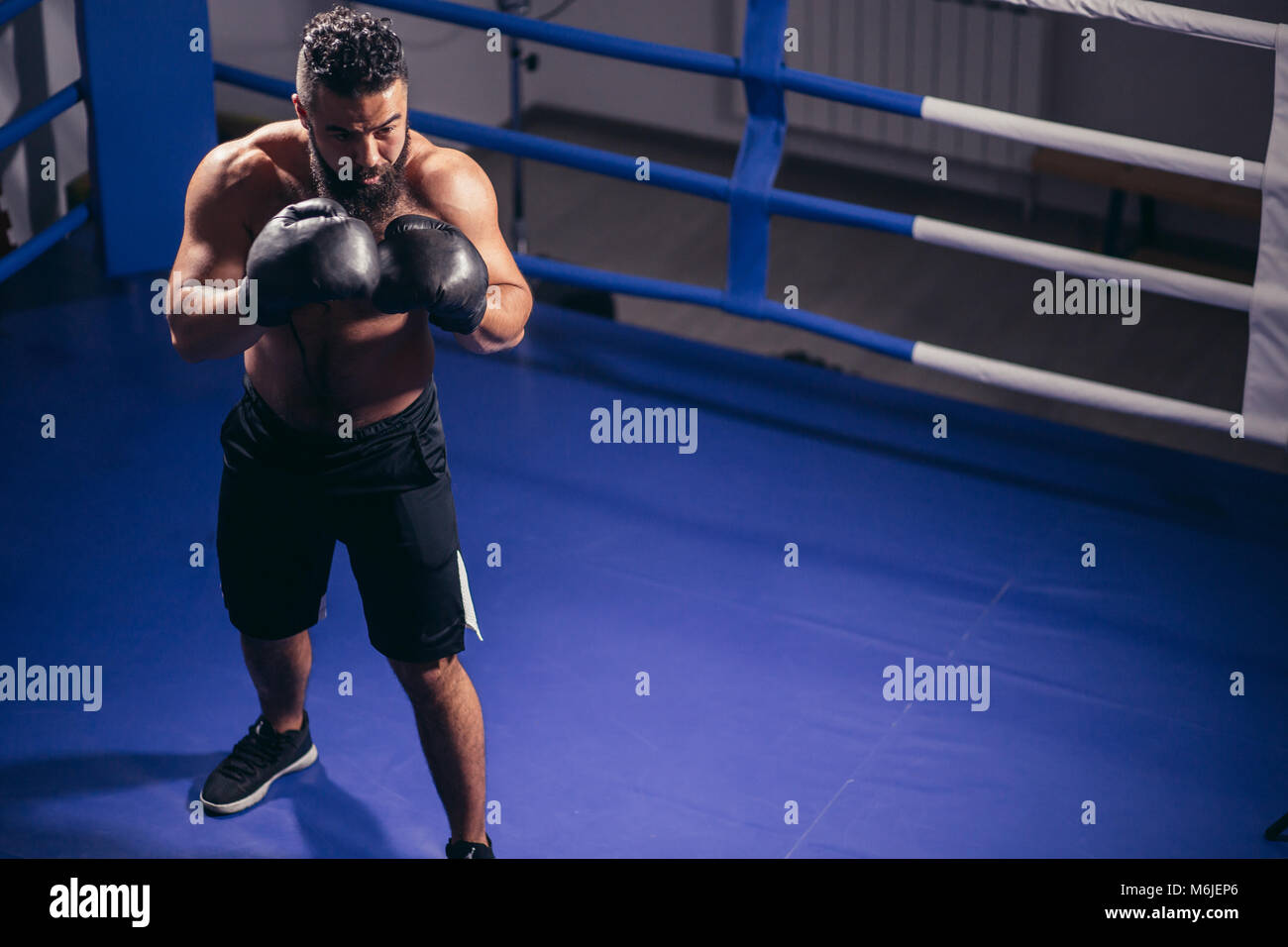 man boxing workout on ring. Caucasian male boxer in black gloves Stock ...