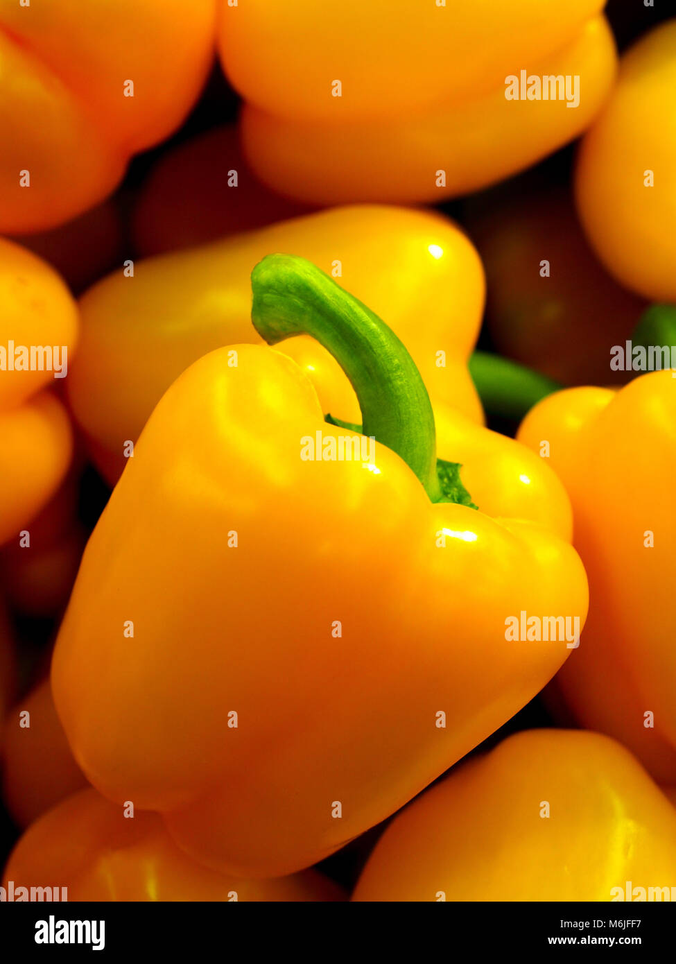 Yellow Bell Pepper, also known as the Yellow Capsicum. Bright, fresh ...