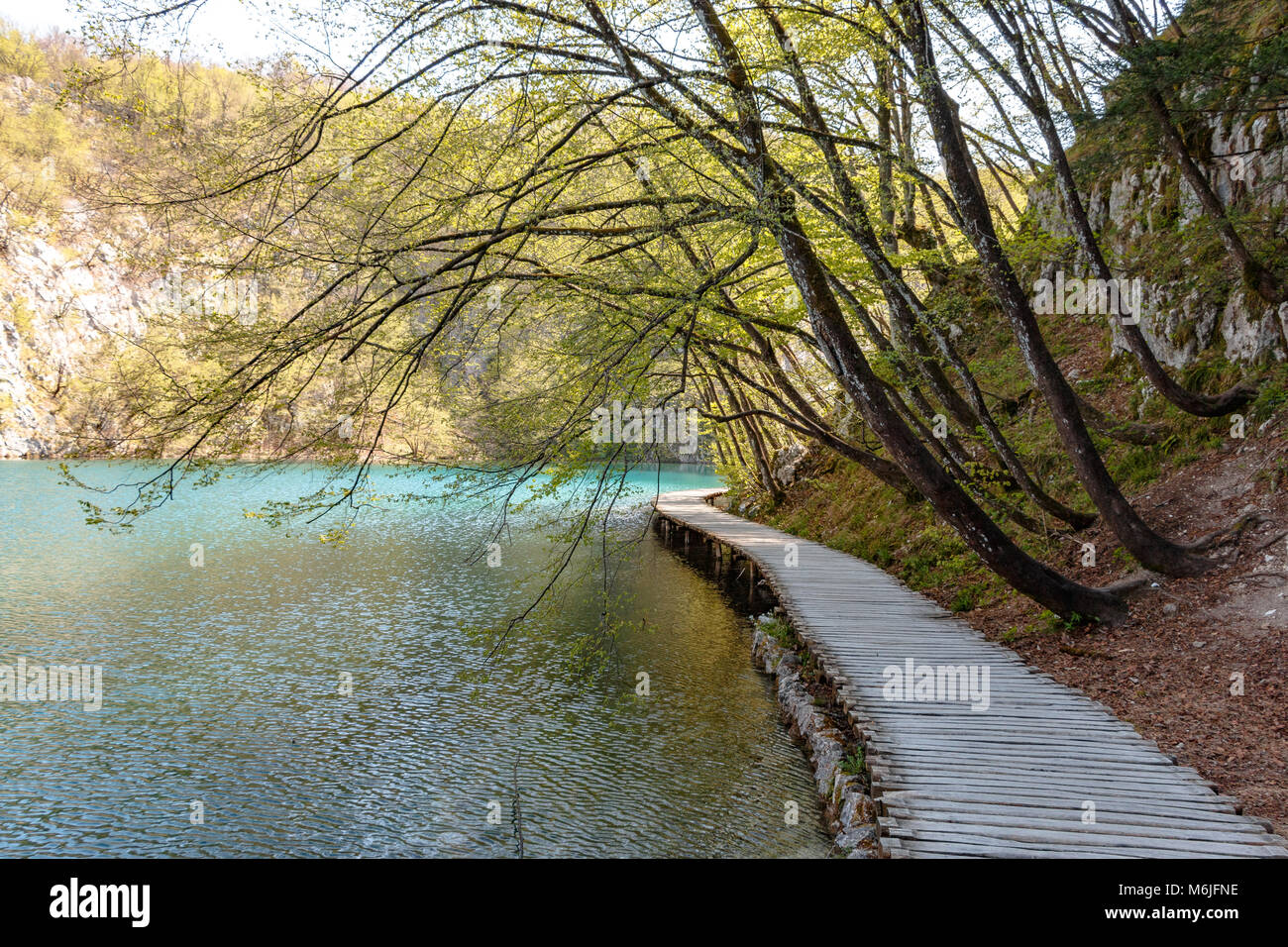 A footpath by a lake in Plitvice Lakes National Park Stock Photo - Alamy