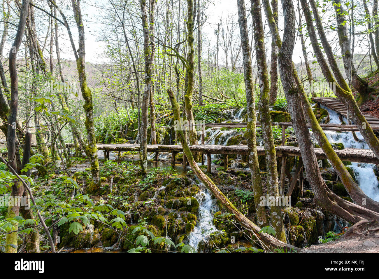 A footpath crossing a stream in Plitvice Lakes National Park Stock ...