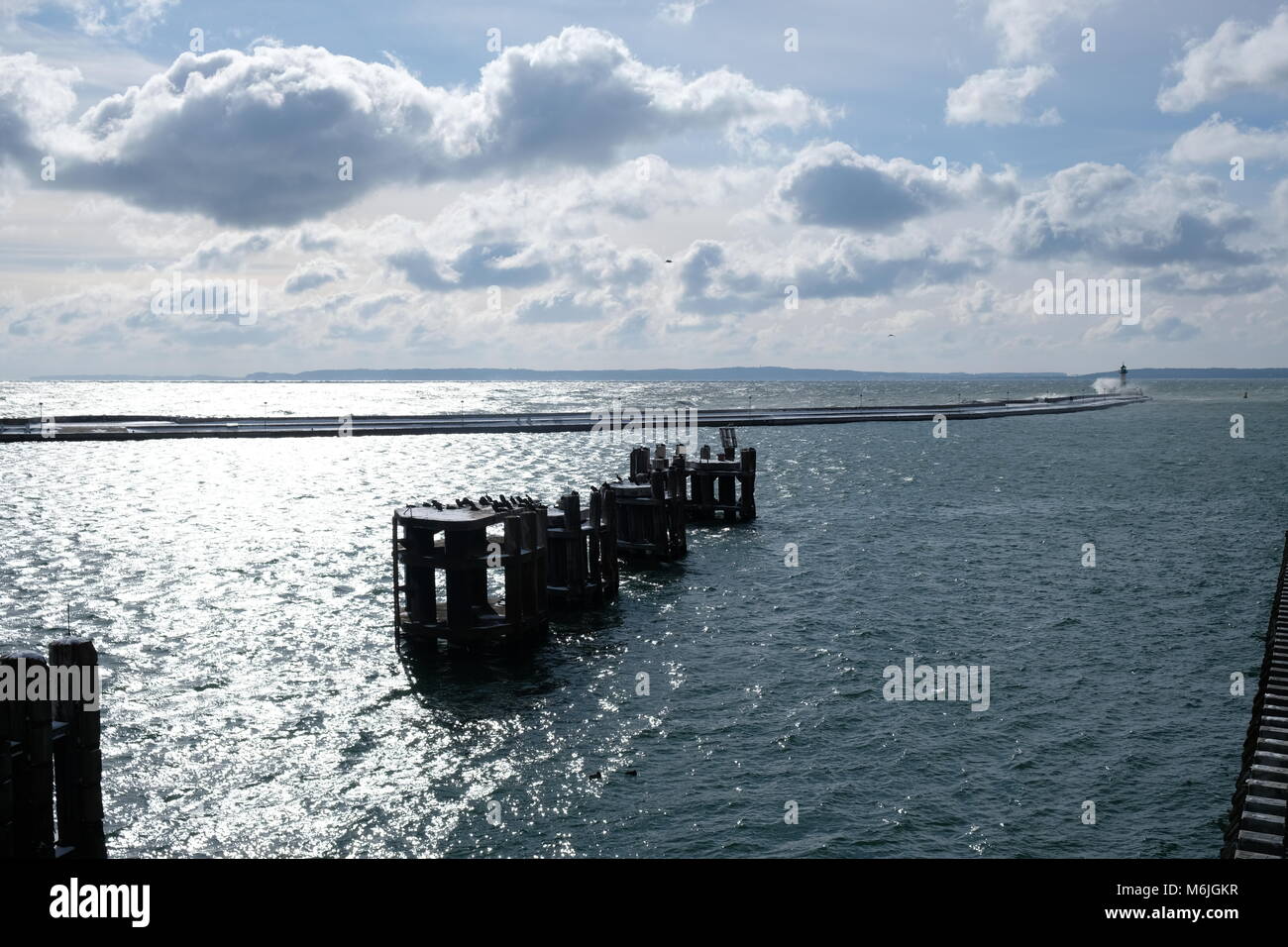 Submarine Forest High Resolution Stock Photography and Images - Alamy