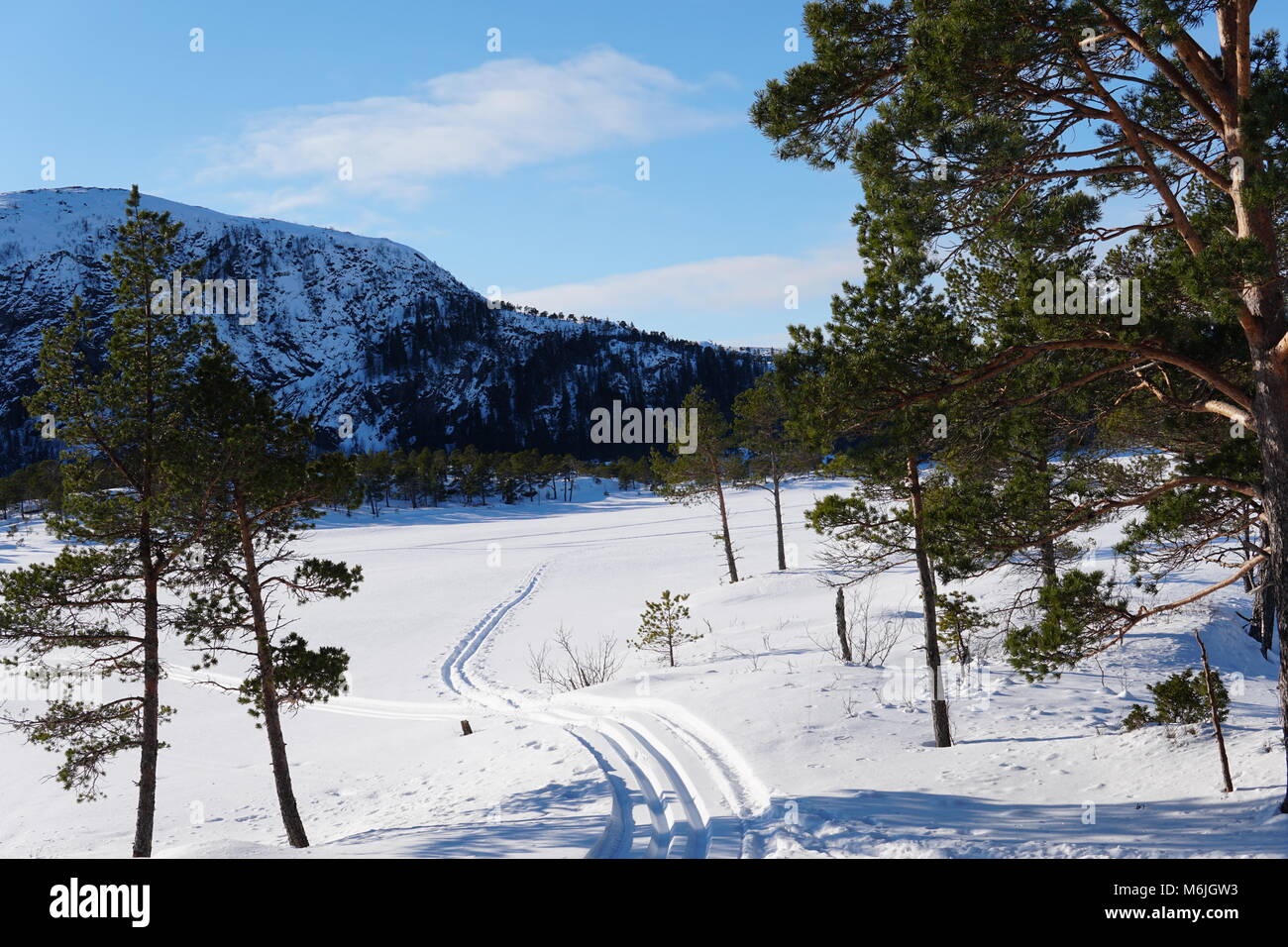 tour with one shadow Stock Photo - Alamy