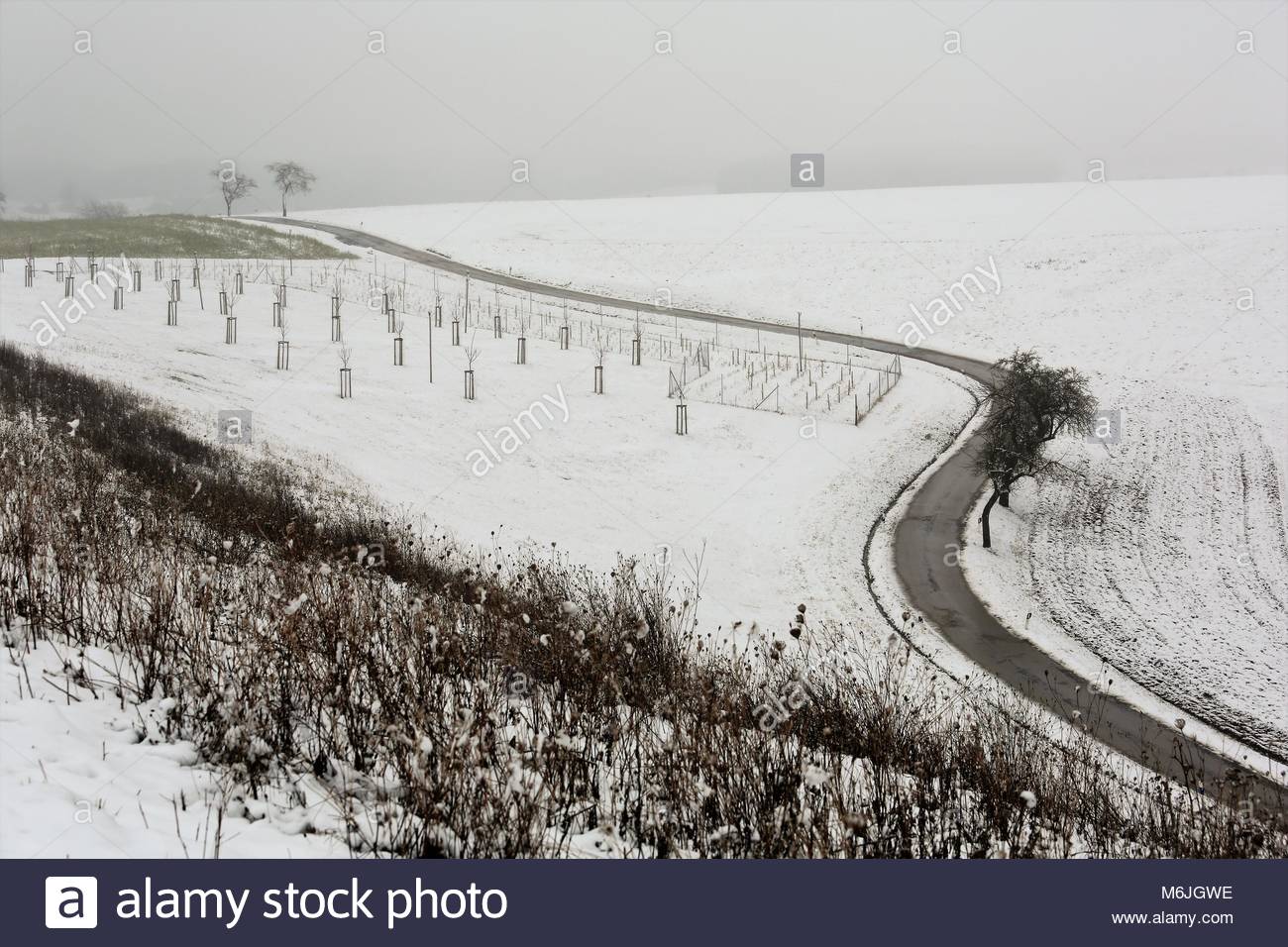Cold season conditions picture hi-res stock photography and images - Alamy