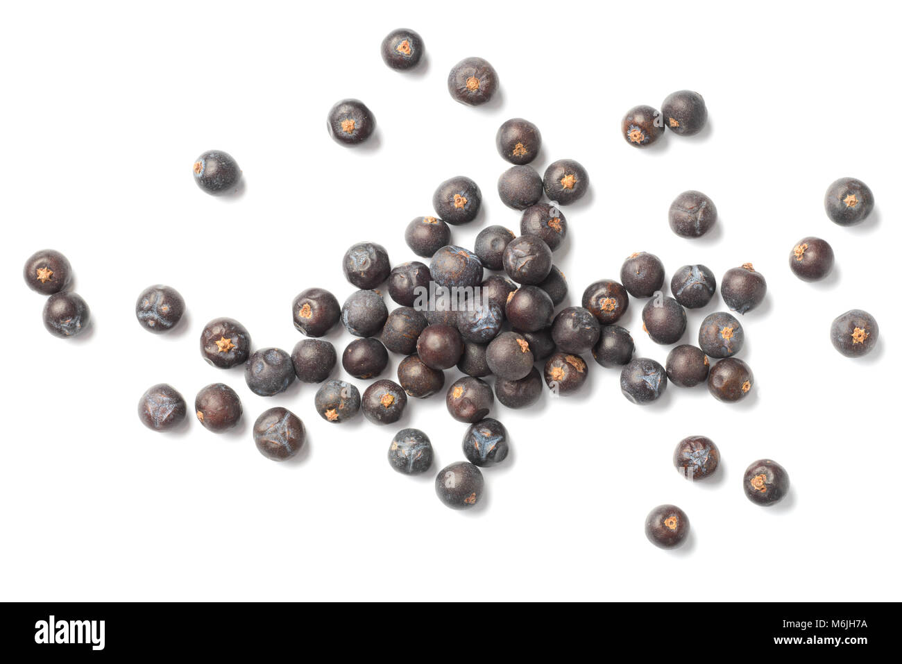 dried juniper berries isolated on white background Stock Photo - Alamy