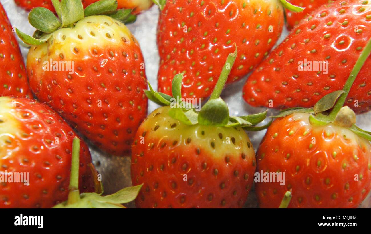 Strawberry close up Stock Photo - Alamy