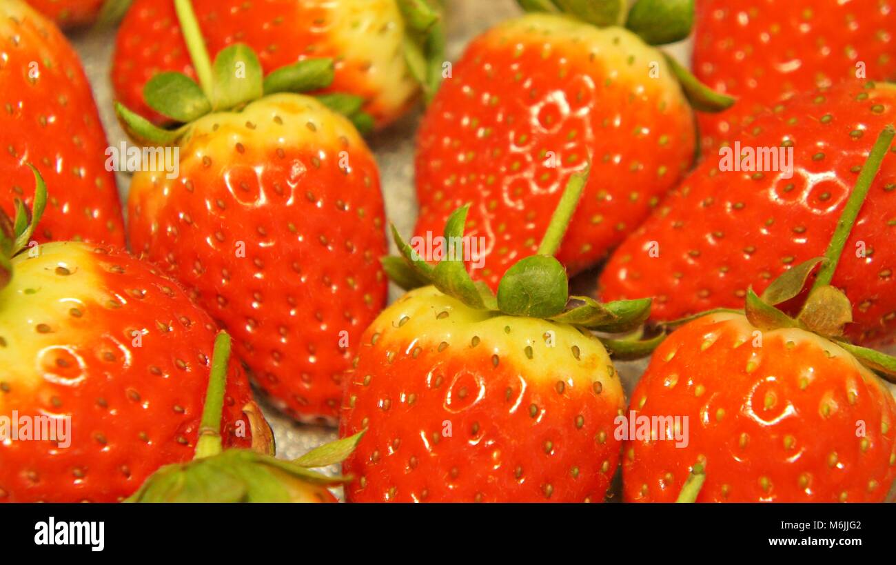 Strawberry close up Stock Photo - Alamy