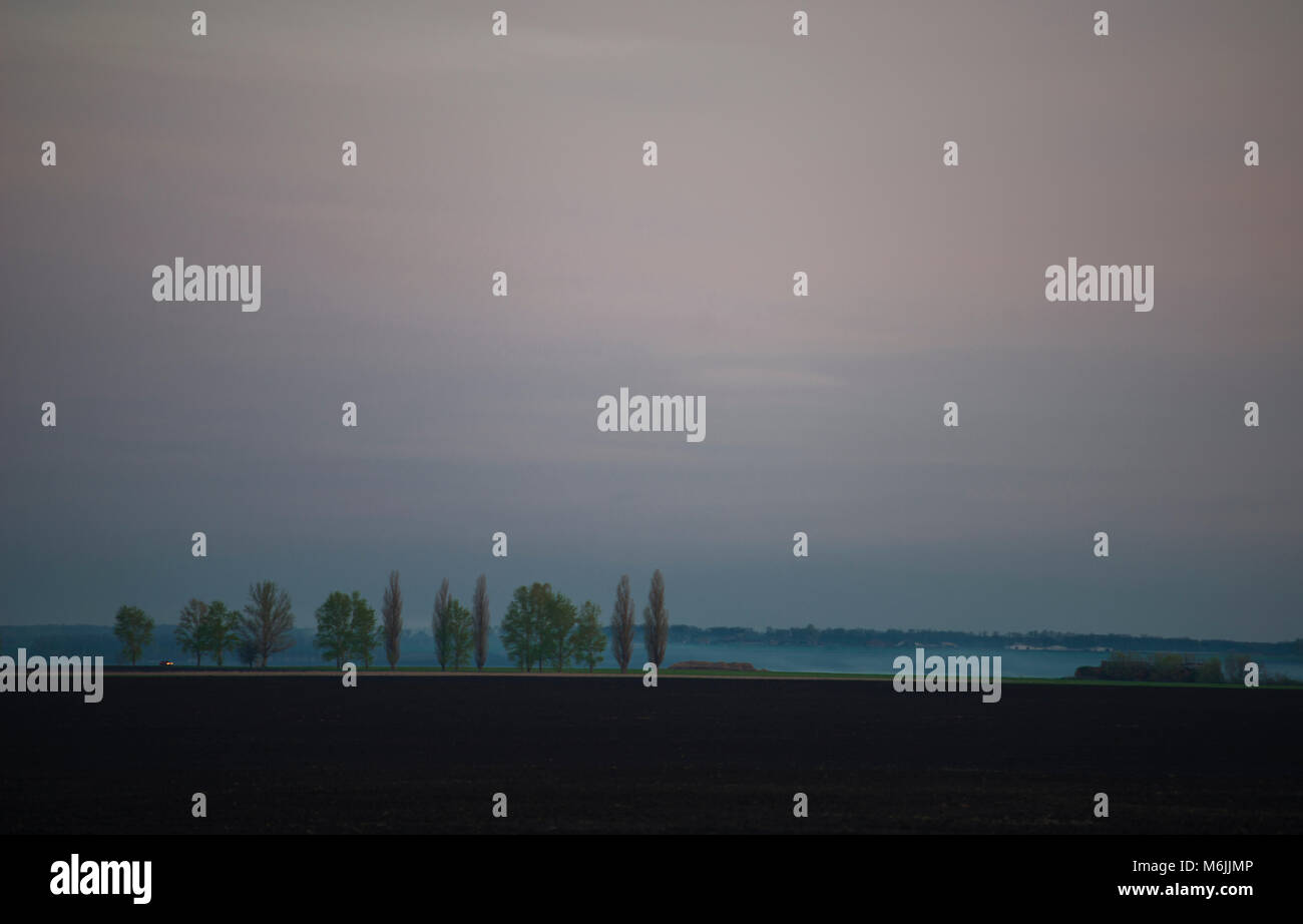 An evening at the field near Romny, Ukraine. Lonely car crossing the ...