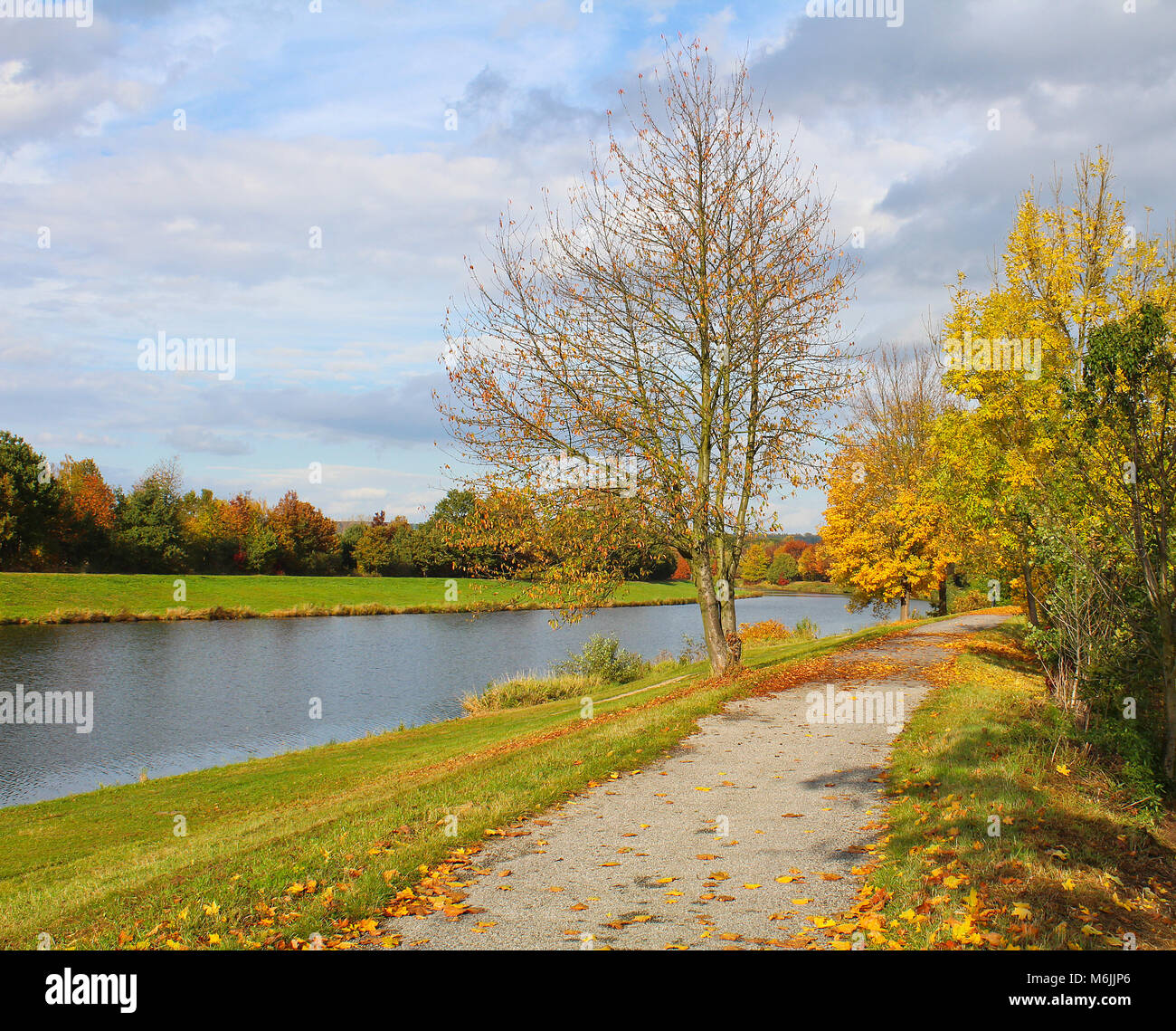 Bicycle path with autumn trees near river Vltava. Czech landscape Stock ...