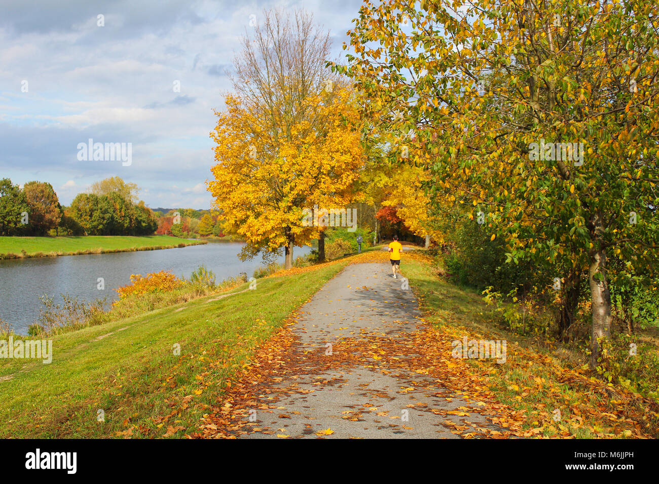 Bicycle path with runner and autumn trees near river Vltava. Czech ...