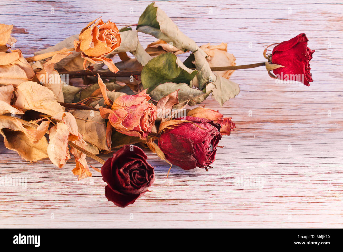 Dry rose on white rustic wood background Stock Photo - Alamy
