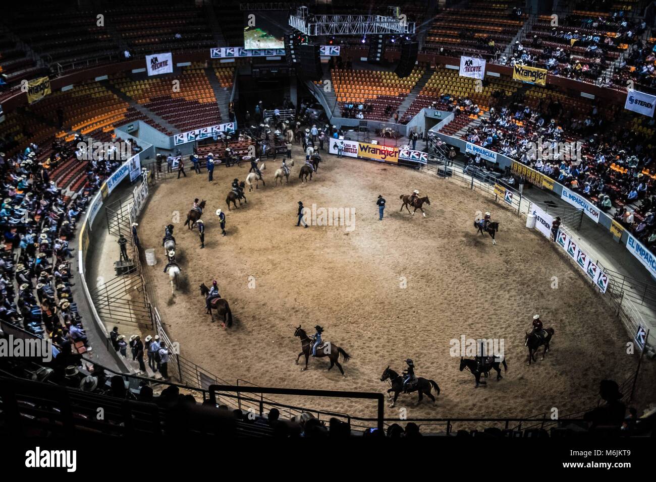 Cowboys sport, horse riding and bull riding, a strong circuit in ...