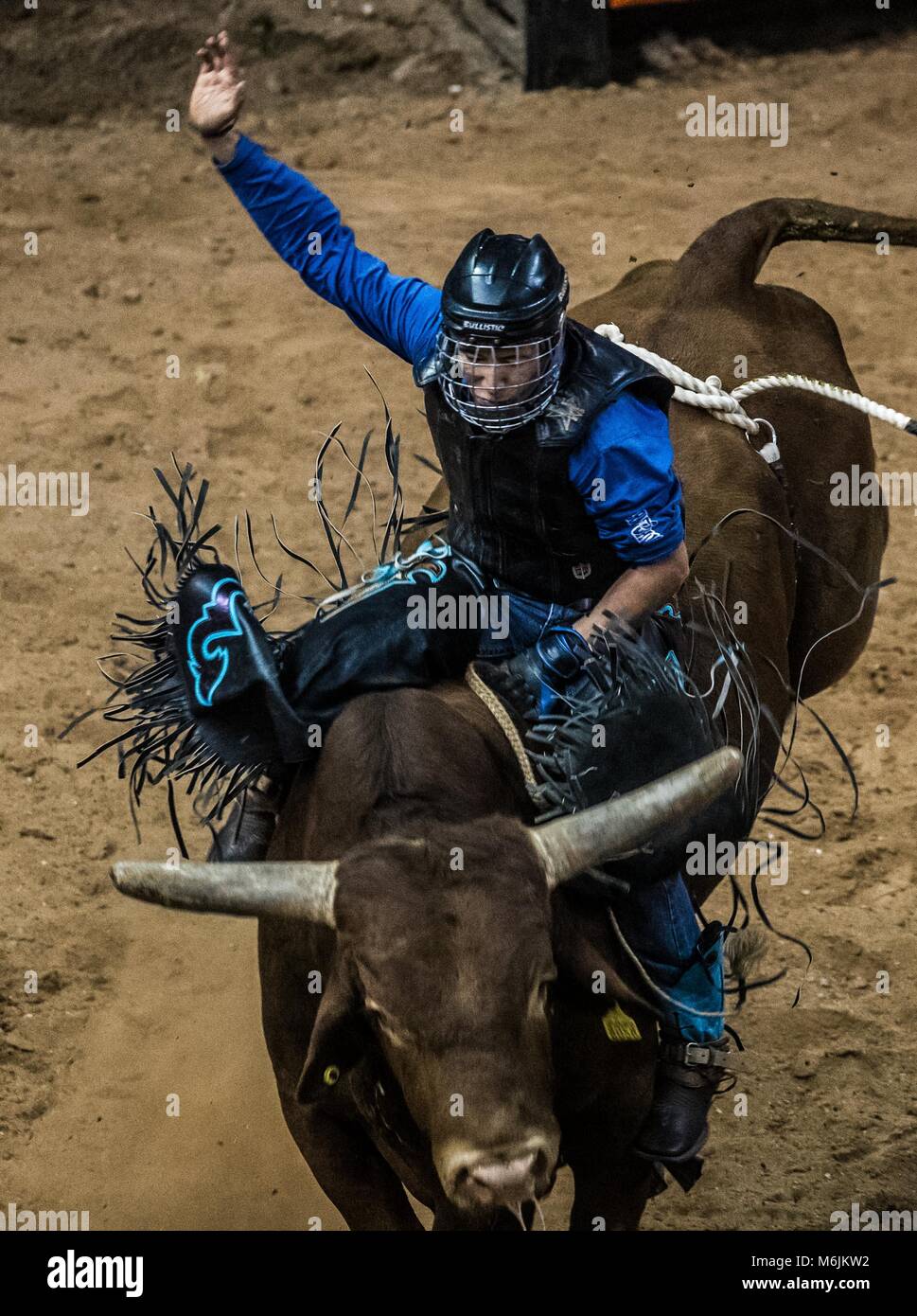 Cowboys sport, horse riding and bull riding, a strong circuit in ...