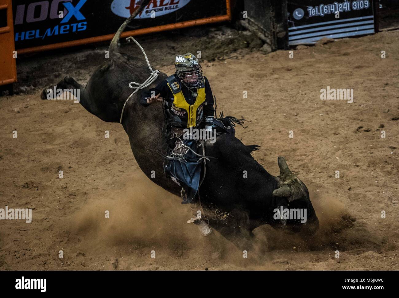 Cowboys sport, horse riding and bull riding, a strong circuit in ...