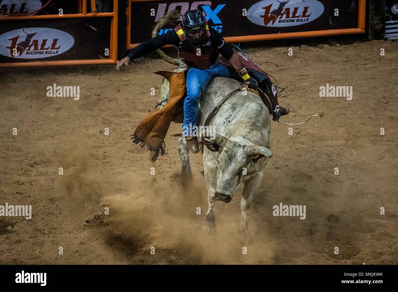 Cowboys sport, horse riding and bull riding, a strong circuit in ...