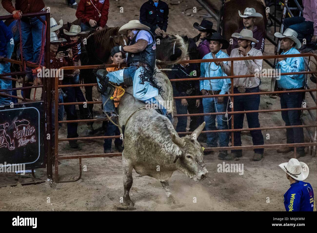 Cowboys sport, horse riding and bull riding, a strong circuit in ...