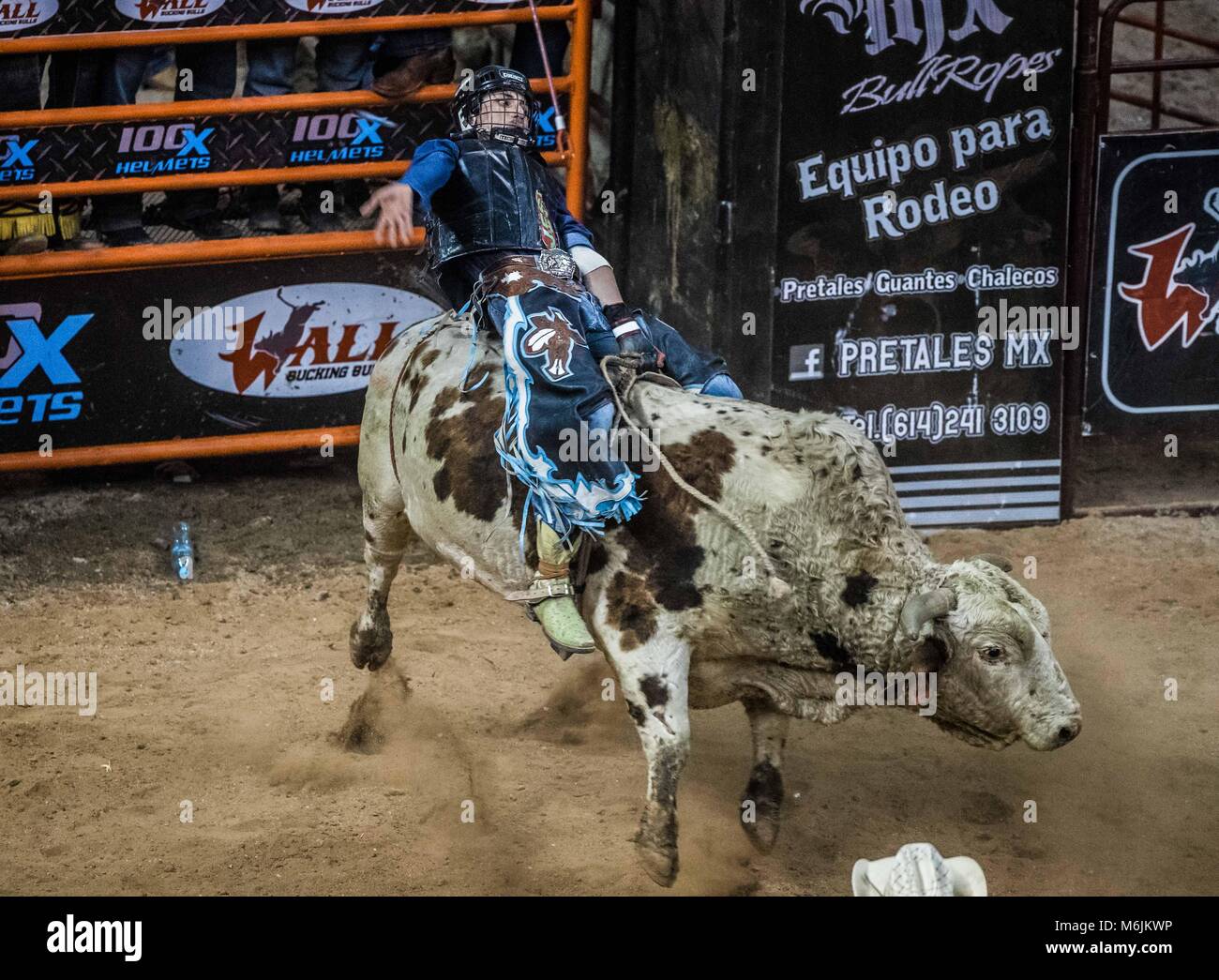 Cowboys sport, horse riding and bull riding, a strong circuit in ...