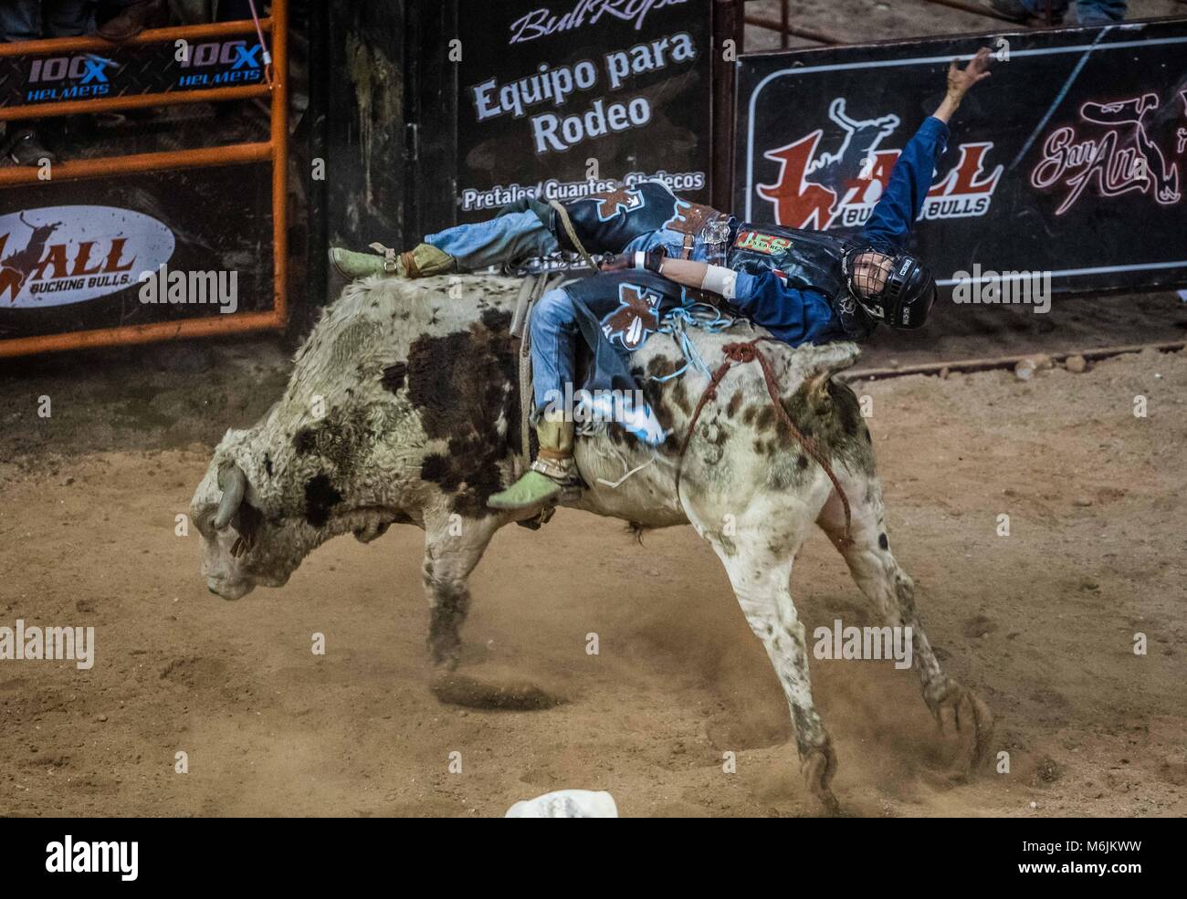 Cowboys sport, horse riding and bull riding, a strong circuit in ...