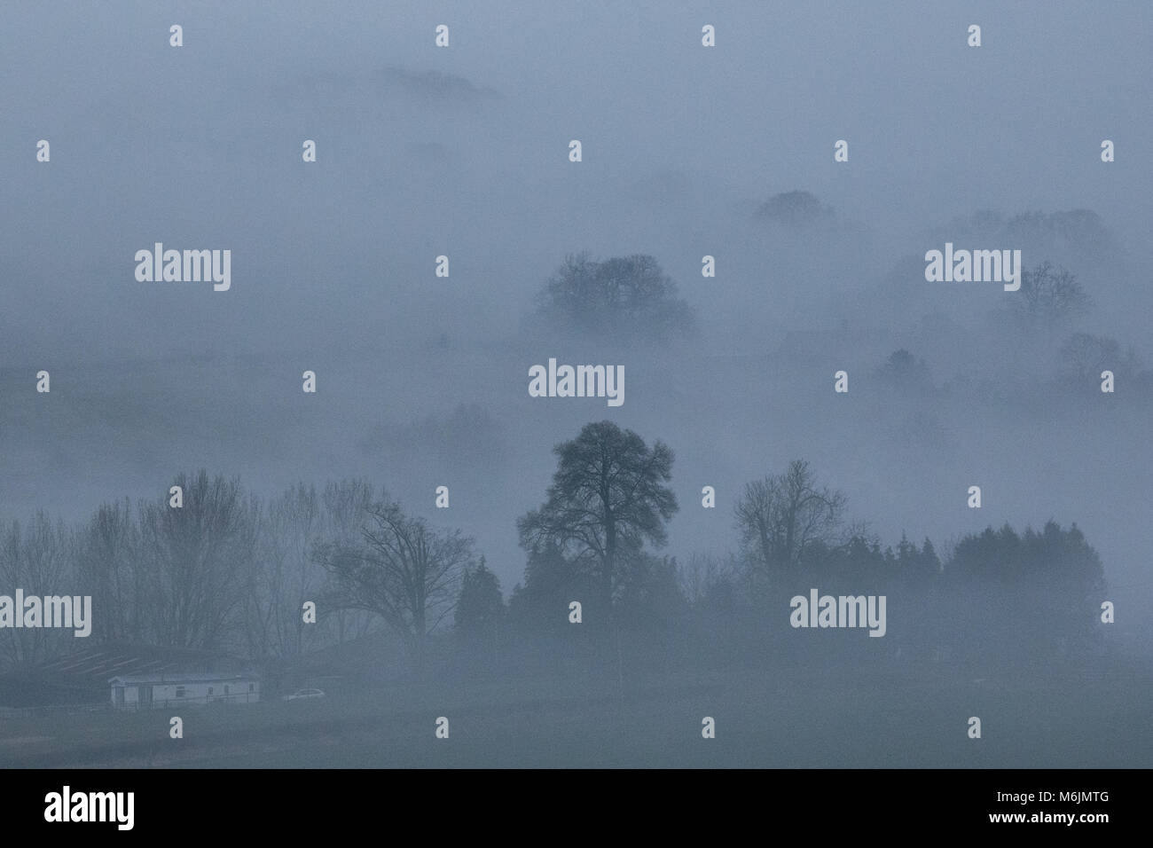 Misty morning landscape trees hi-res stock photography and images - Alamy