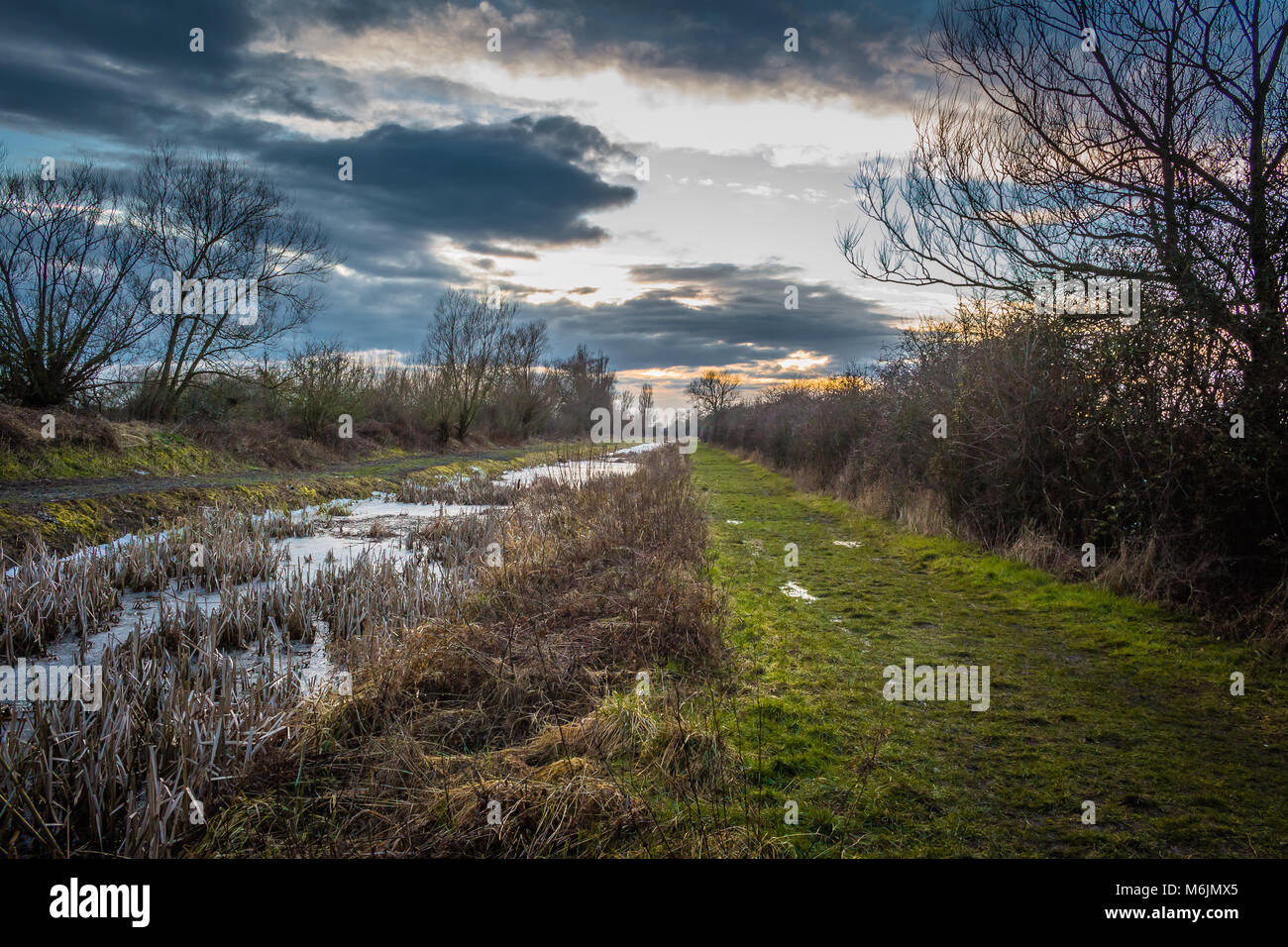 Coombe Hill Nature Reserve Stock Photos & Coombe Hill Nature Reserve ...
