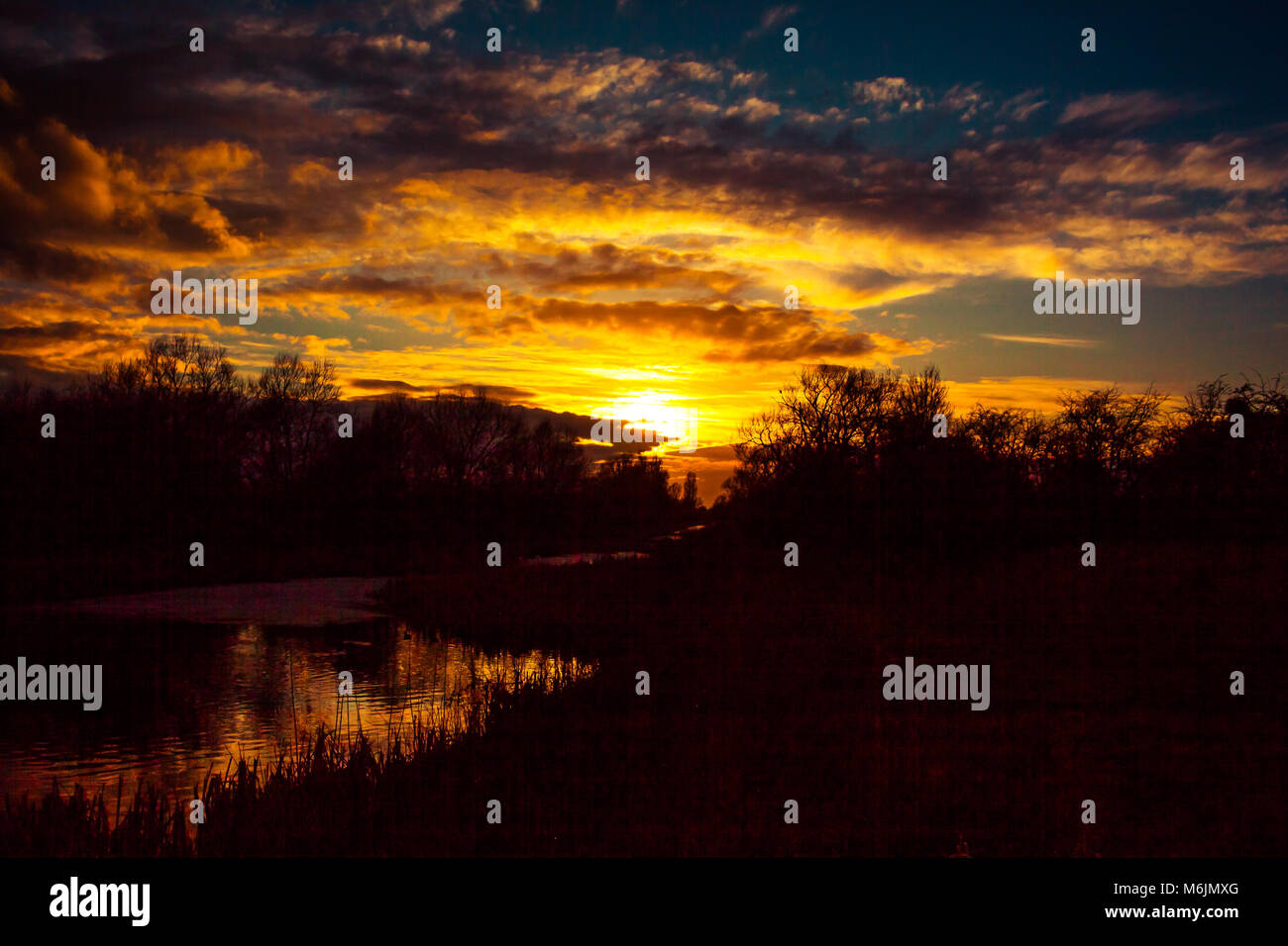 Coombe hill nature reserve hi-res stock photography and images - Alamy
