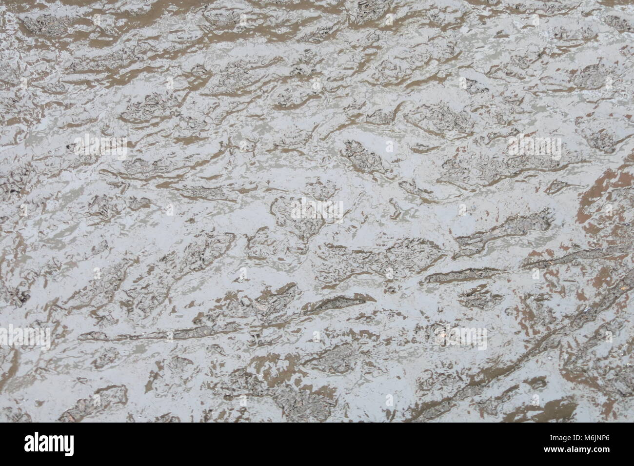 A very squelchy picture of mud, mud, glorious mud Stock Photo - Alamy