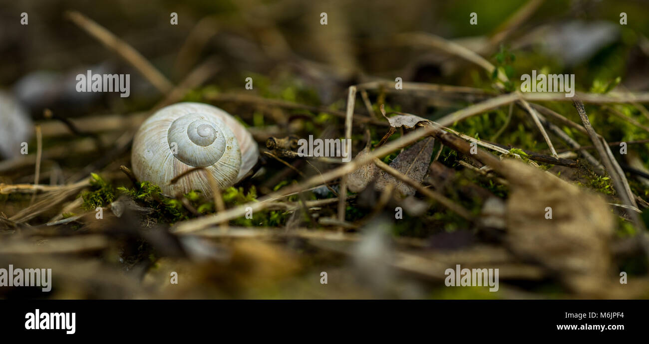 Nlughouse hi-res stock photography and images - Alamy